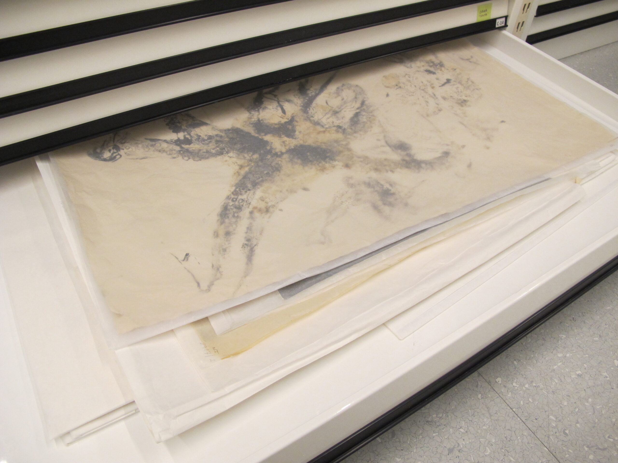 Conservation plan for prints and drawings - Fundació Gala - Salvador Dalí